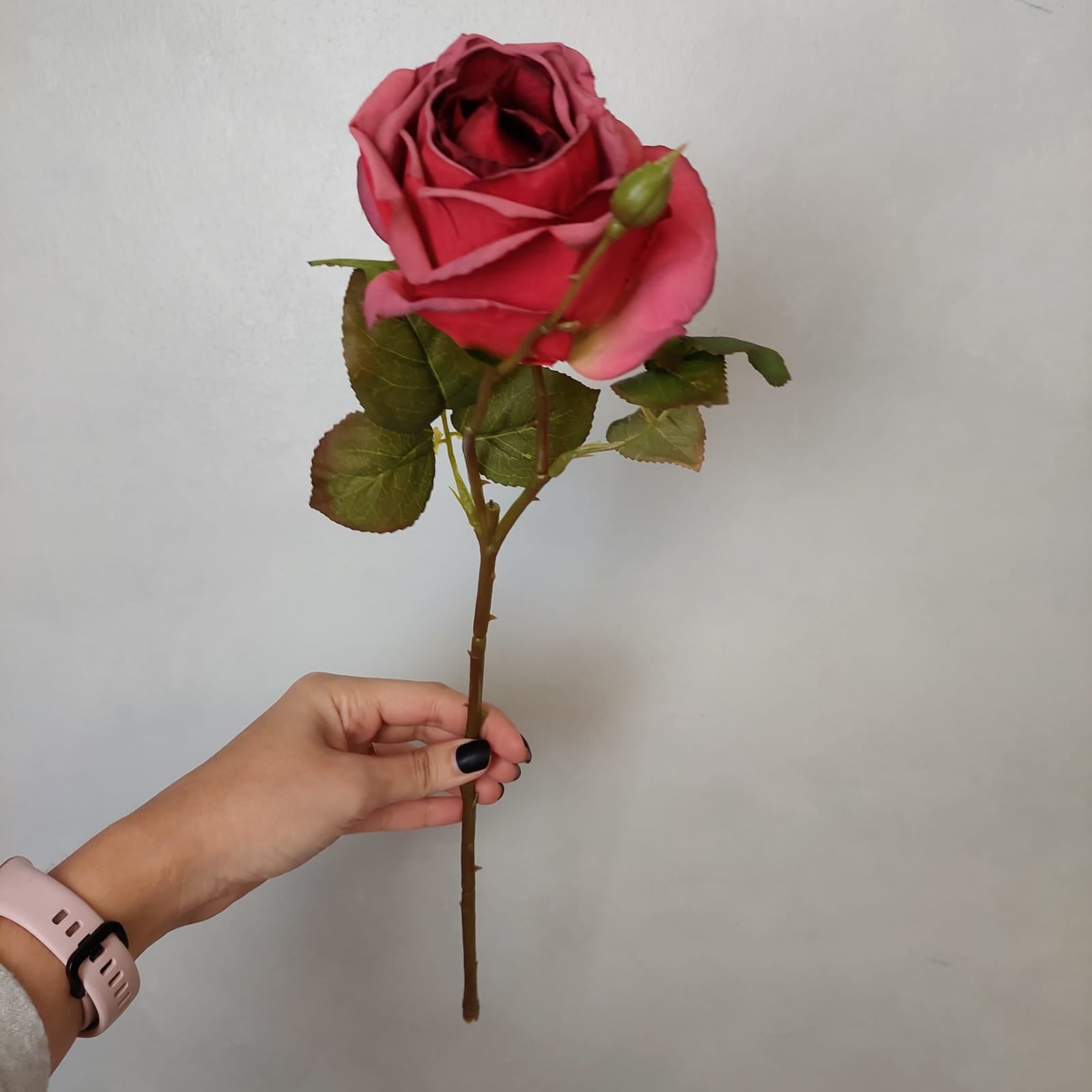 ROSA SIMPLE - DISTINTOS COLORES – Veracruz Store